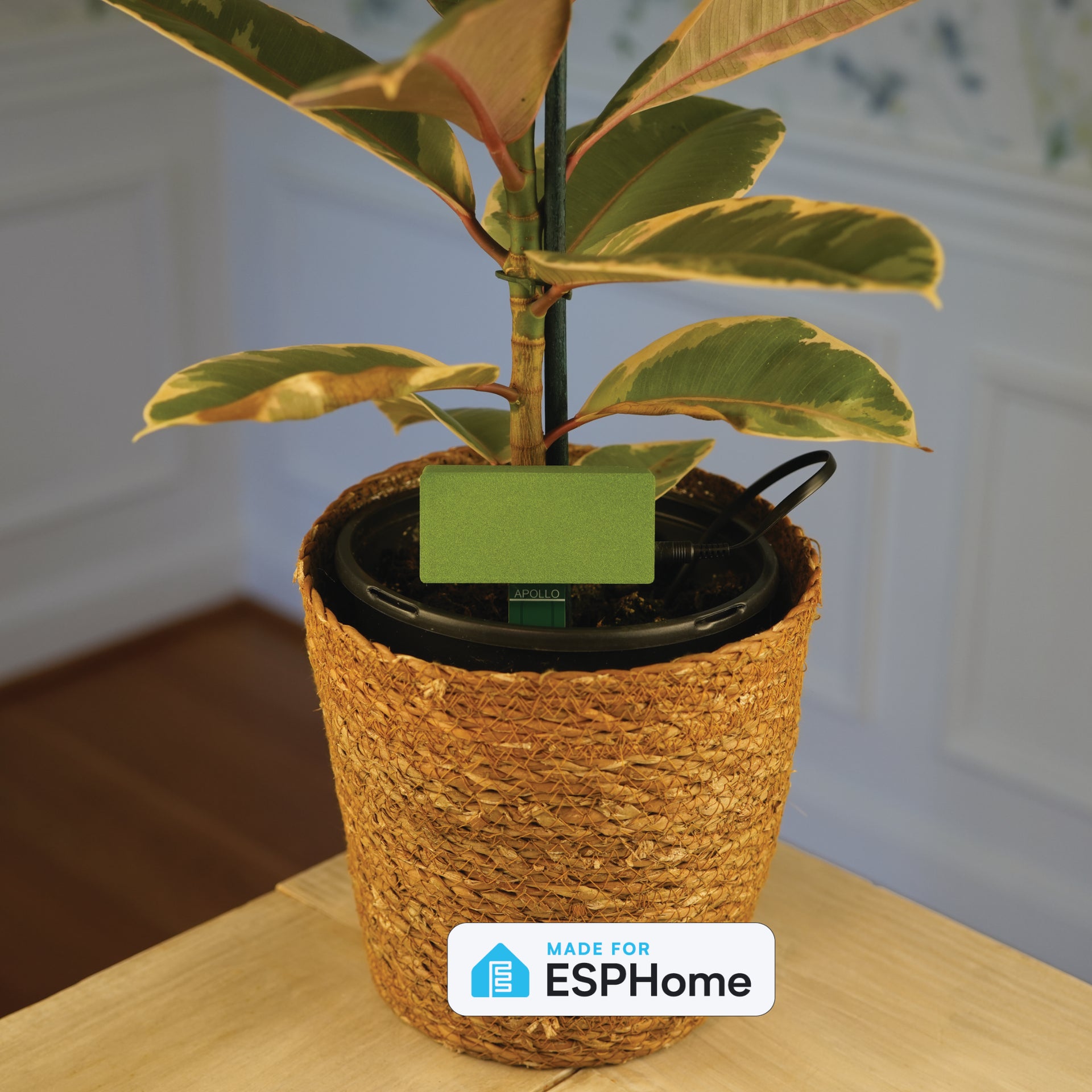 PLT-1 Ultimate Plant Sensor For Home Assistant | Apollo Automation