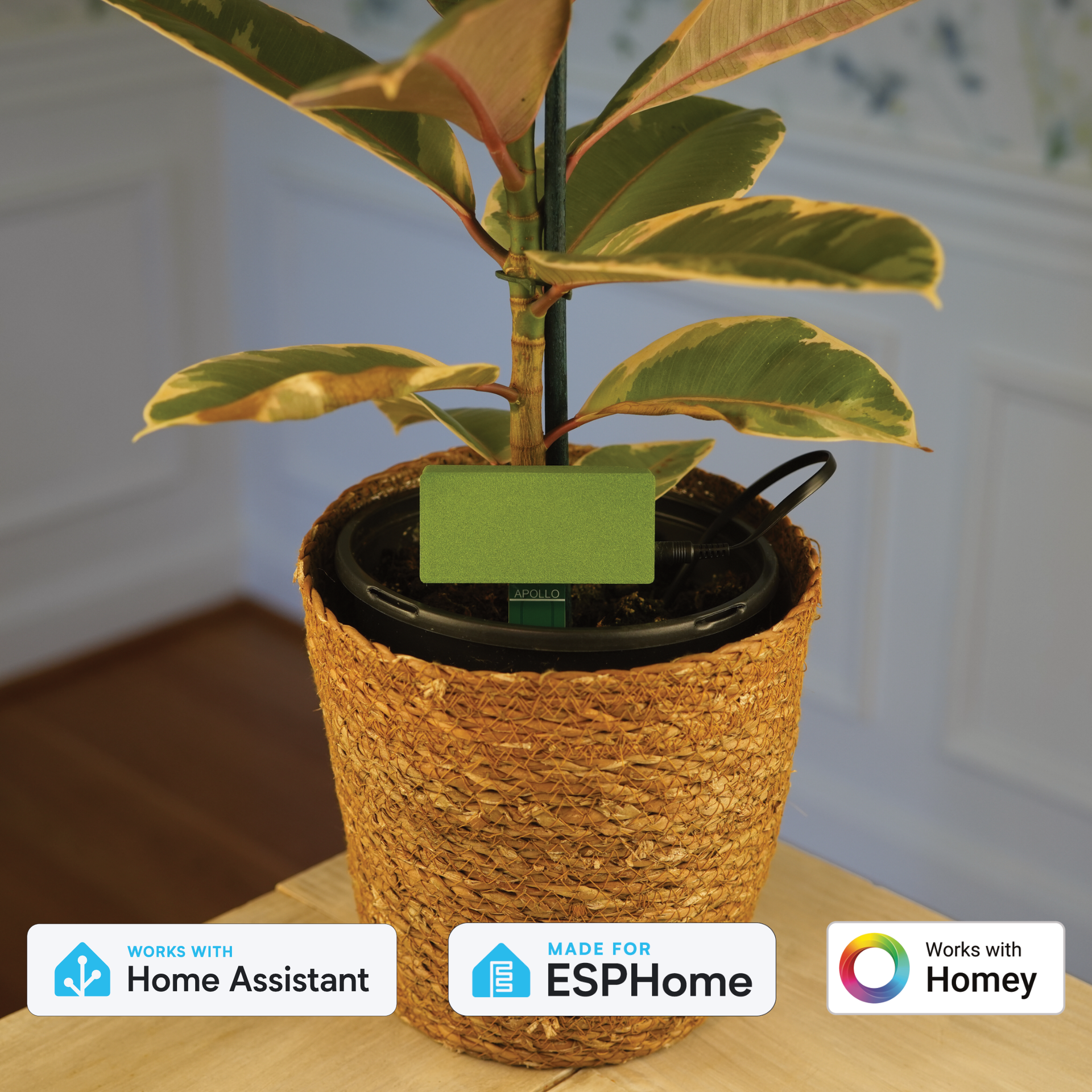 PLT-1 Ultimate Plant Sensor For Home Assistant | Apollo Automation