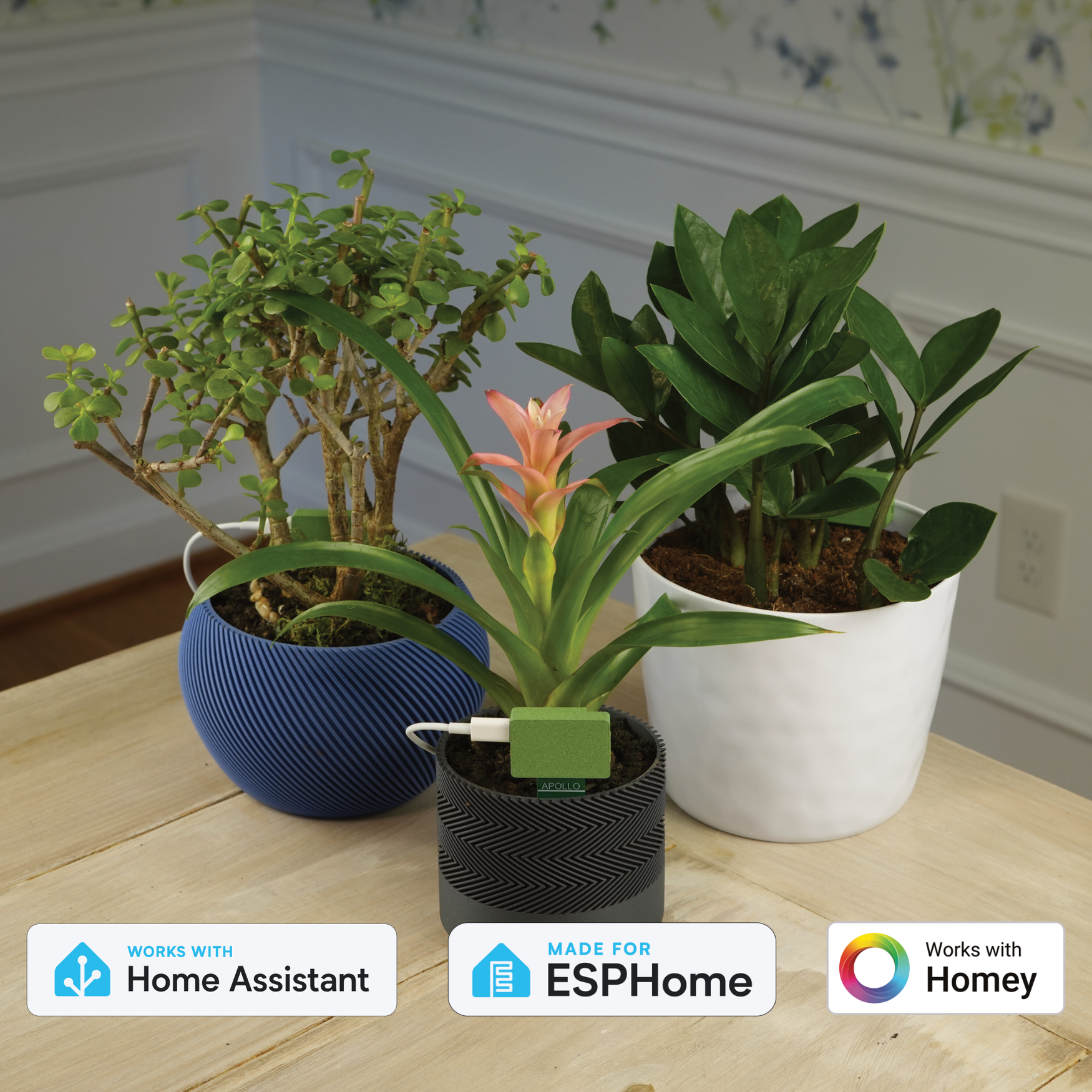 PLT-1 Ultimate Plant Sensor For Home Assistant | Apollo Automation